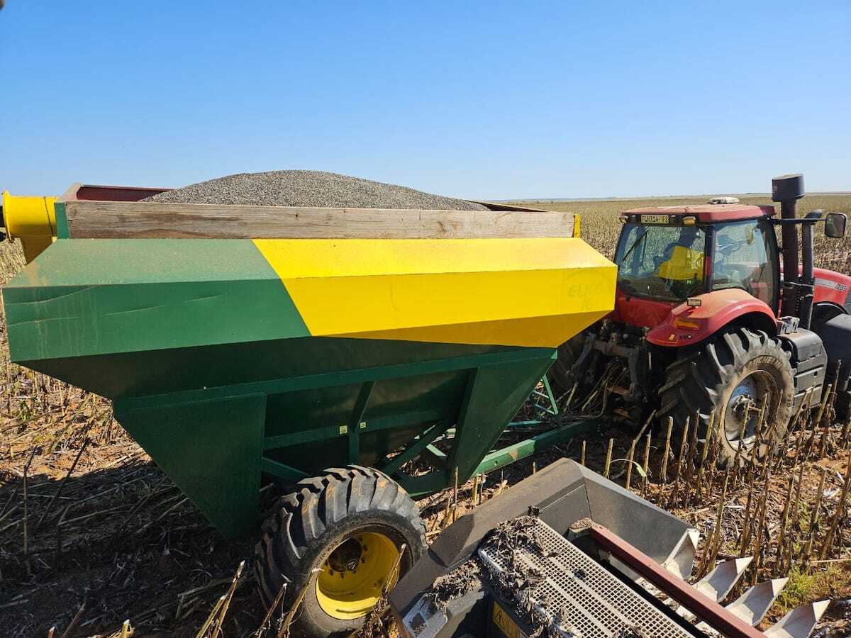 A beautiful yield from Pannar’s PAN 7180CLP in Hertzogville